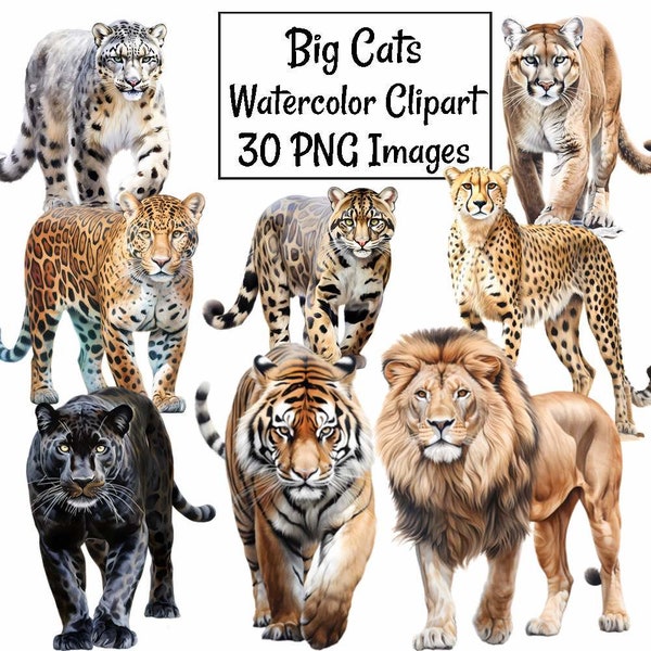 Big Cat - Etsy