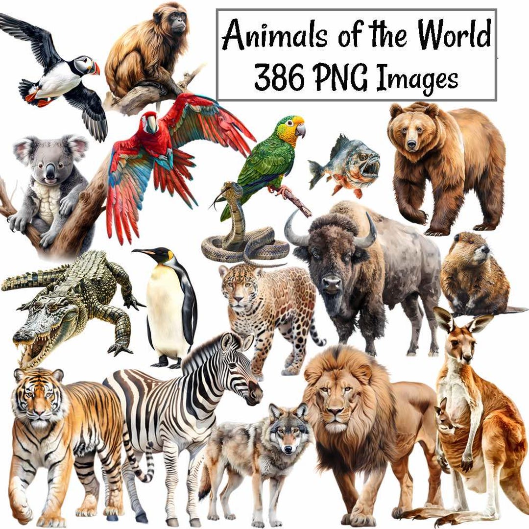 Animals of the World Clipart Bundle, 386 Unique Watercolor Designs ...