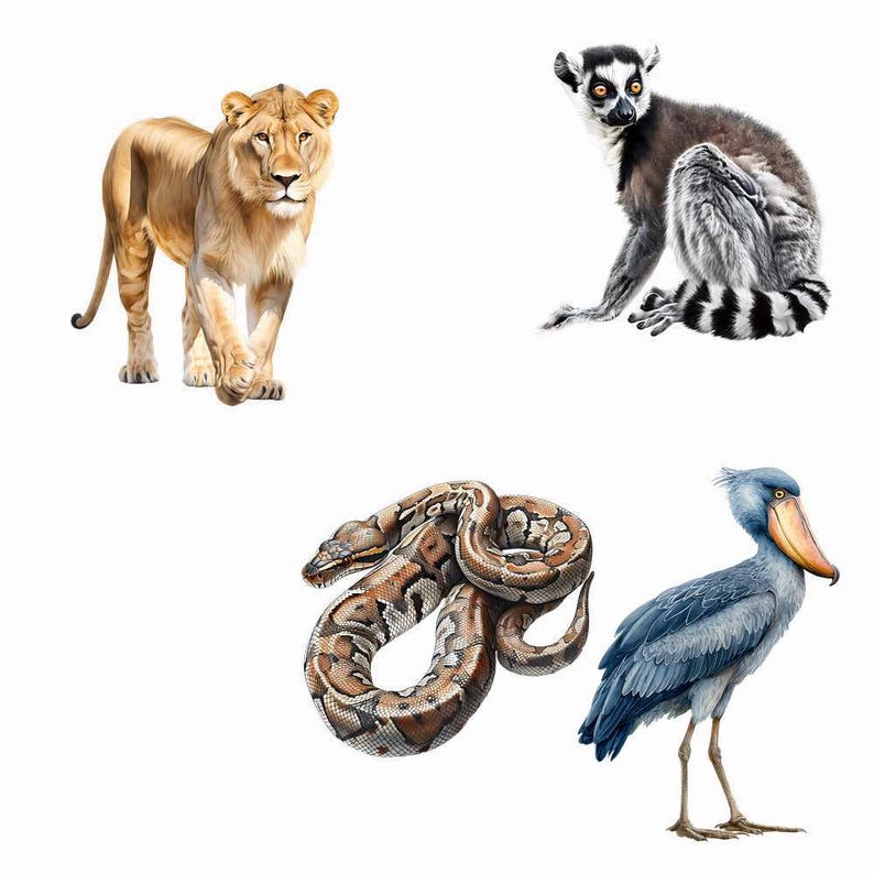 African Animals Clipart Digital Downloads Wildlife Watercolor Safari ...