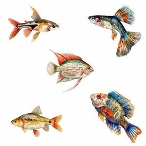 Aquarium Fish Watercolor Clipart Digital Downloads,30 Tropical Fish Pet ...