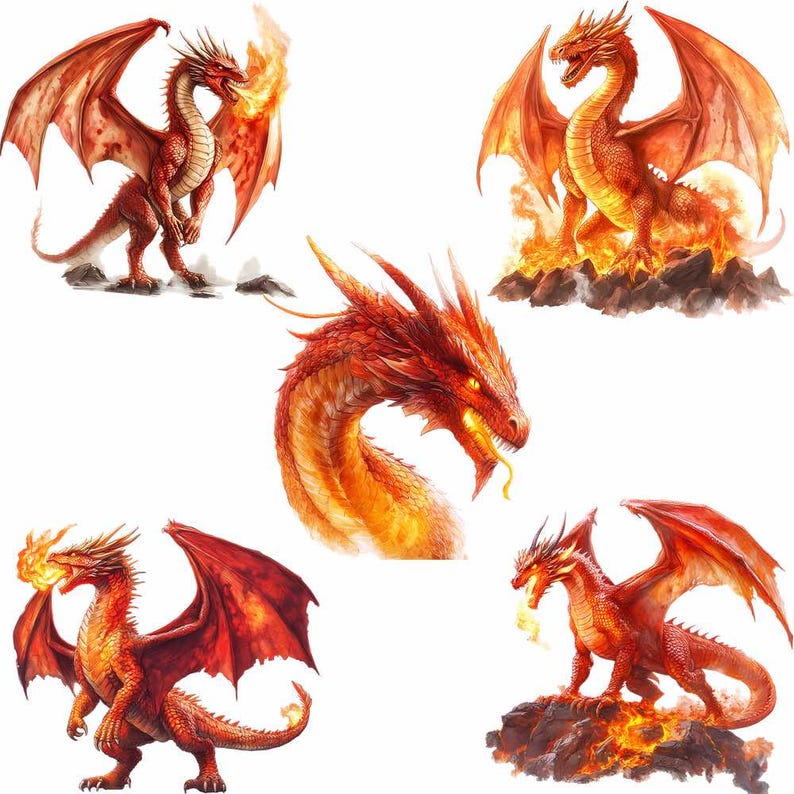 Elemental Dragon Watercolor Clipart, 40 RPG Fantasy Folklore Mythology ...