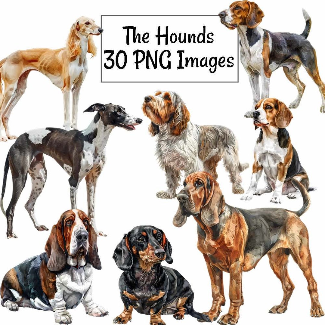 Hounds Watercolor Clipart Digital Downloads, 30 Dog Animal AKC Group ...