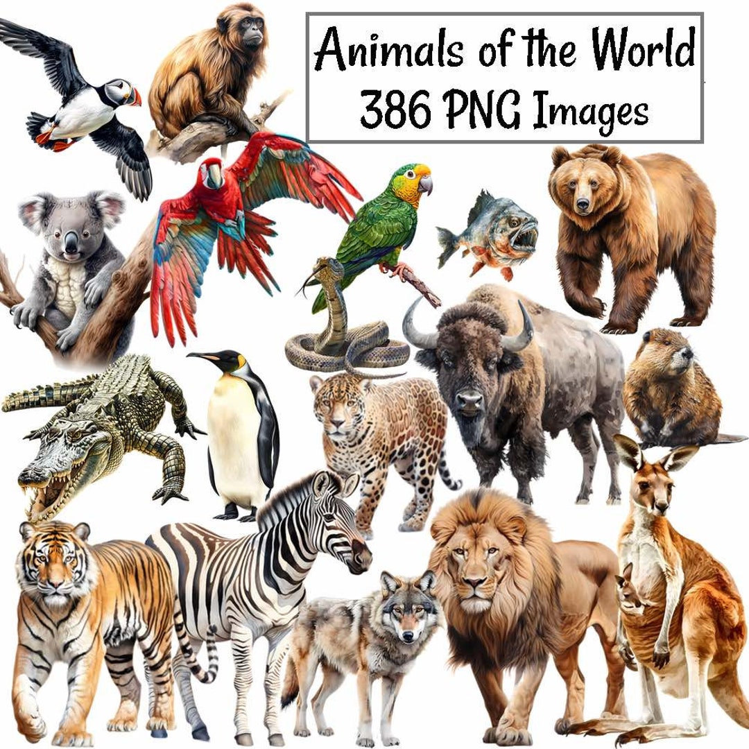 Animals of the World Clipart Huge Bundle, 386 Watercolor Wildlife ...