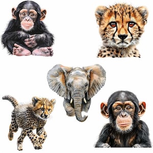 Baby Safari African Animals Clipart Digital Downloads Safari Animal ...