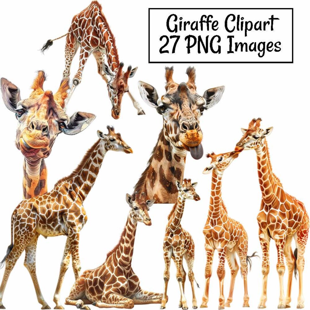 Giraffe Clipart,27 Watercolor African Animal Wildlife Safari Digital ...