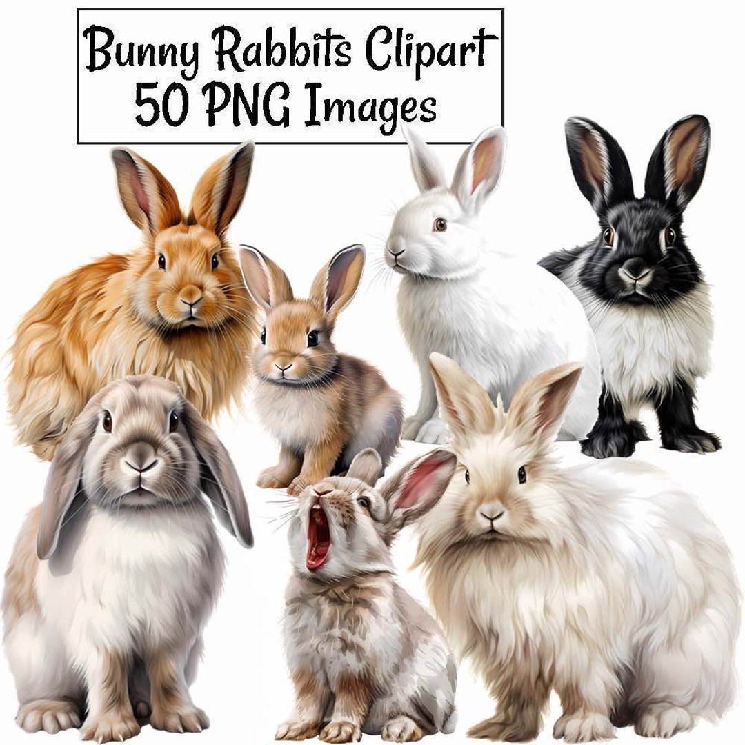Bunny Clipart, Watercolor Digital Downloads, 50 Easter Rabbit Overlay ...