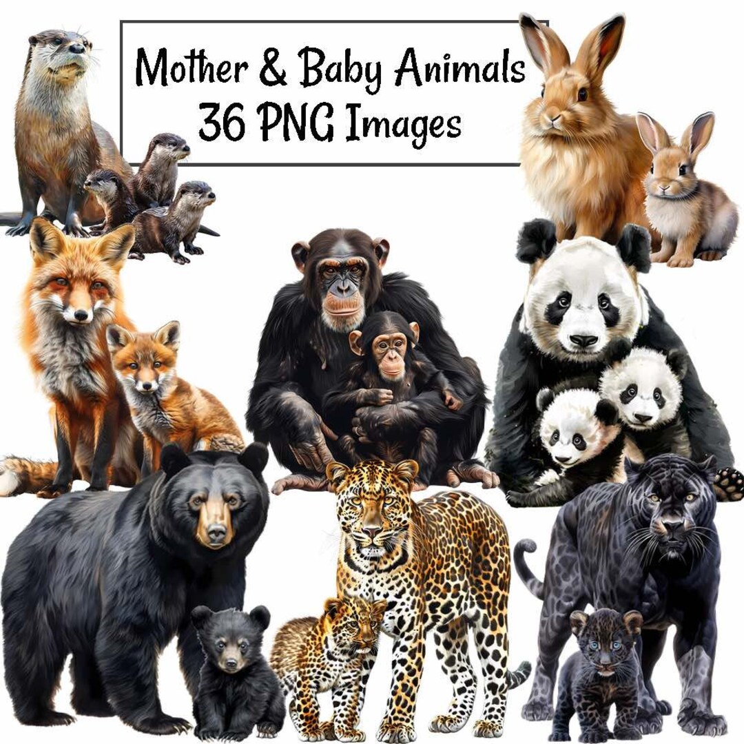 Animal Mother & Babies Clipart Digital Downloads,36 Mother's Day ...