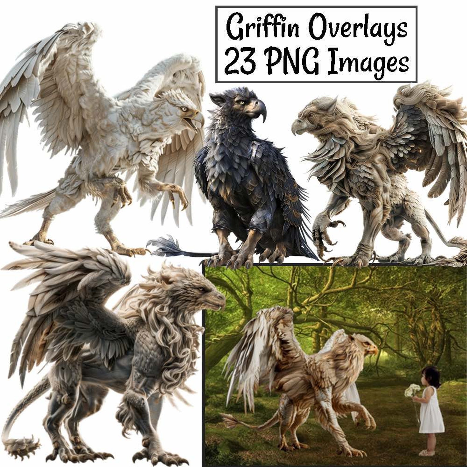 Griffin Realistic Overlay Digital Downloads, 23 Gryphon Clipart Fantasy ...