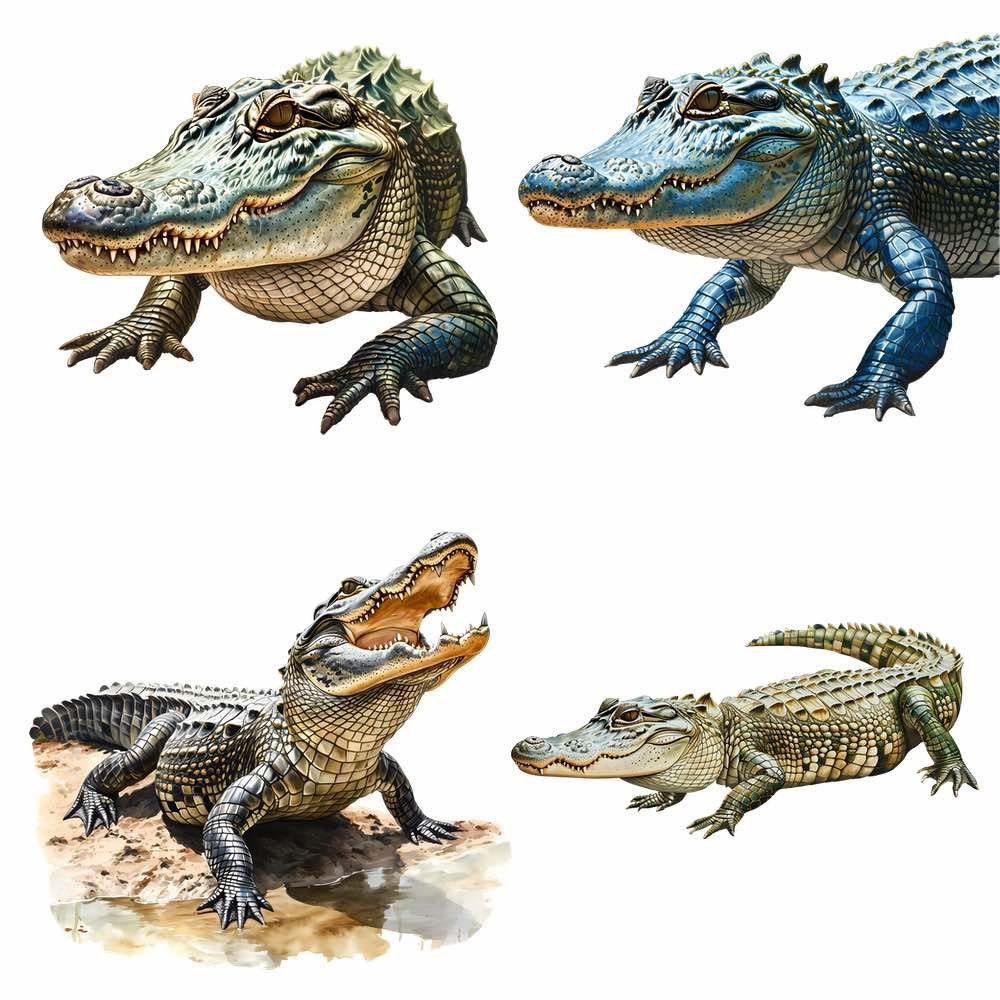 Alligator Watercolor Clipart Digital Downloads Reptile Crocodile Animal ...