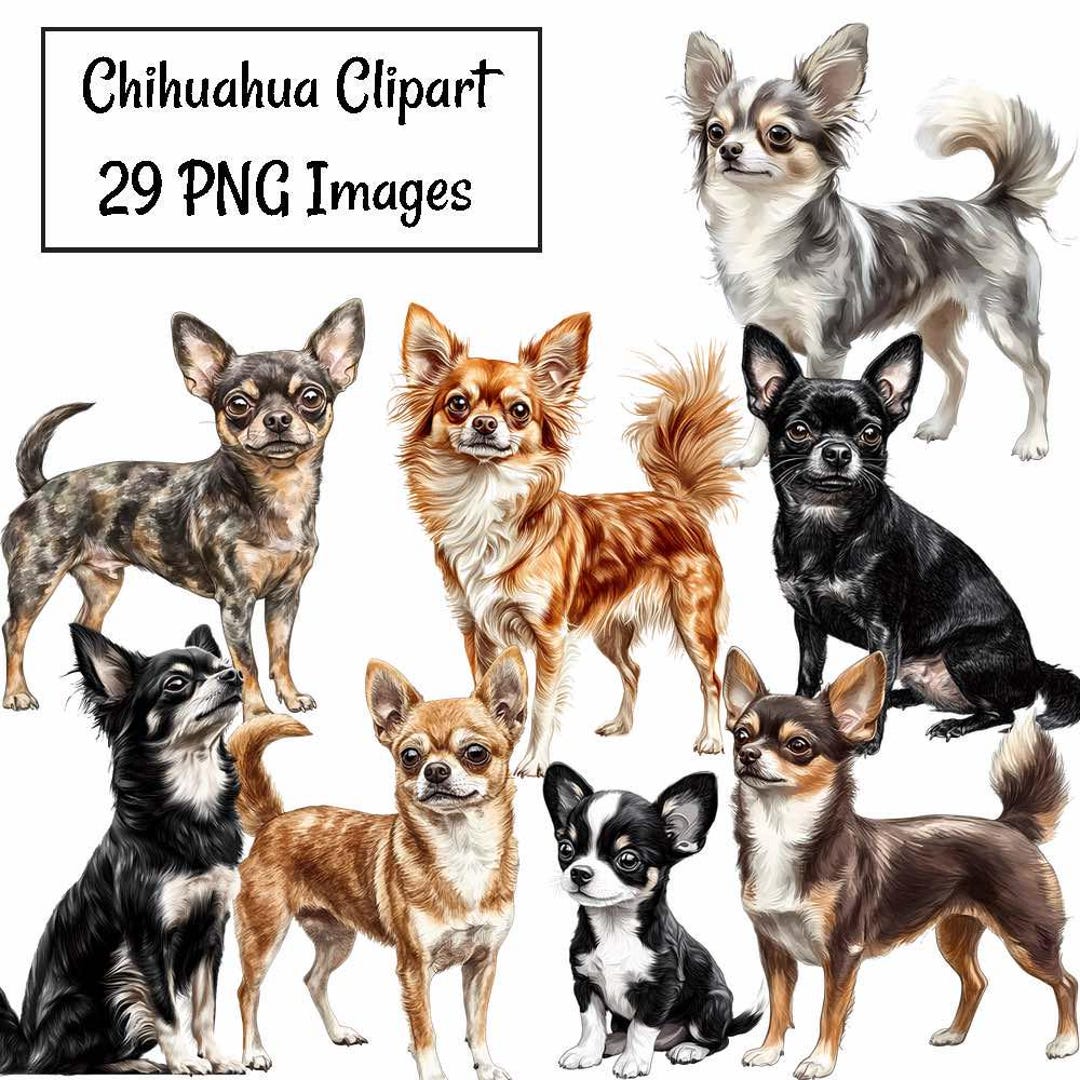 Chihuahua Watercolor Clipart Toy Dog Digital Downloads Sublimation Dog ...
