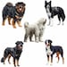 Working Dogs Watercolor Clipart Digital Downloads Dog Breed Animal AKC ...