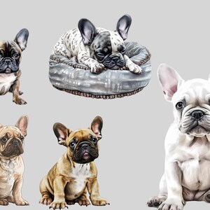 French Bulldog Puppies Digital Downloads, 10 Sublimation Puppy Dog ...