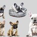 French Bulldog Puppies Digital Downloads, 10 Sublimation Puppy Dog ...