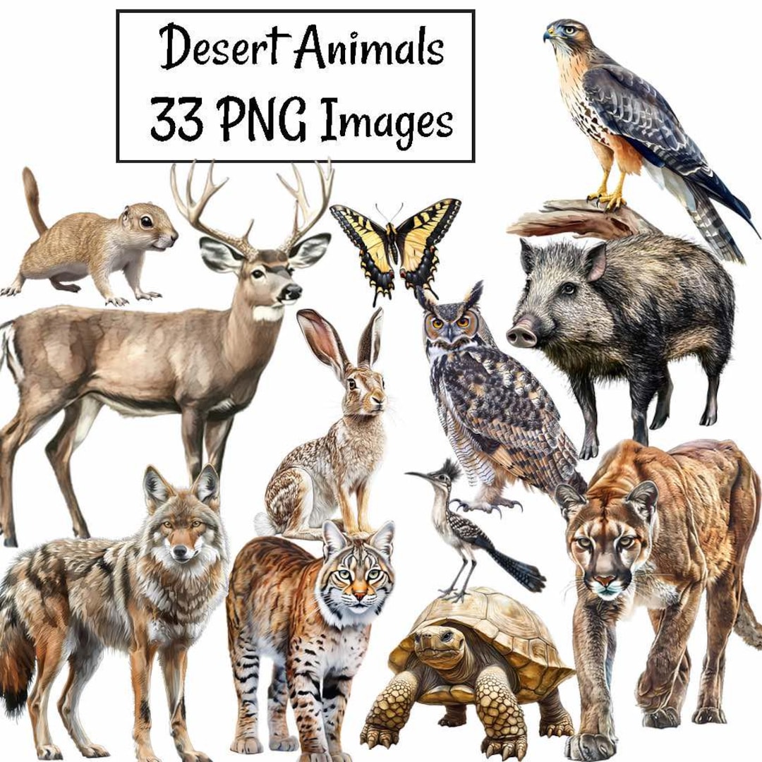 Desert Animals Clipart North American Wildlife Digital , Watercolor ...
