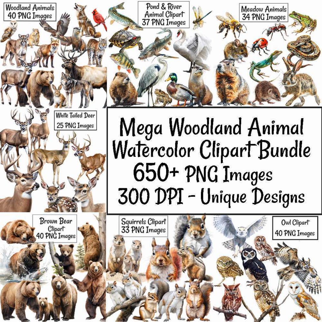 Mega Woodland Animals Clipart Bundle, Current & Future Designs, 623 ...