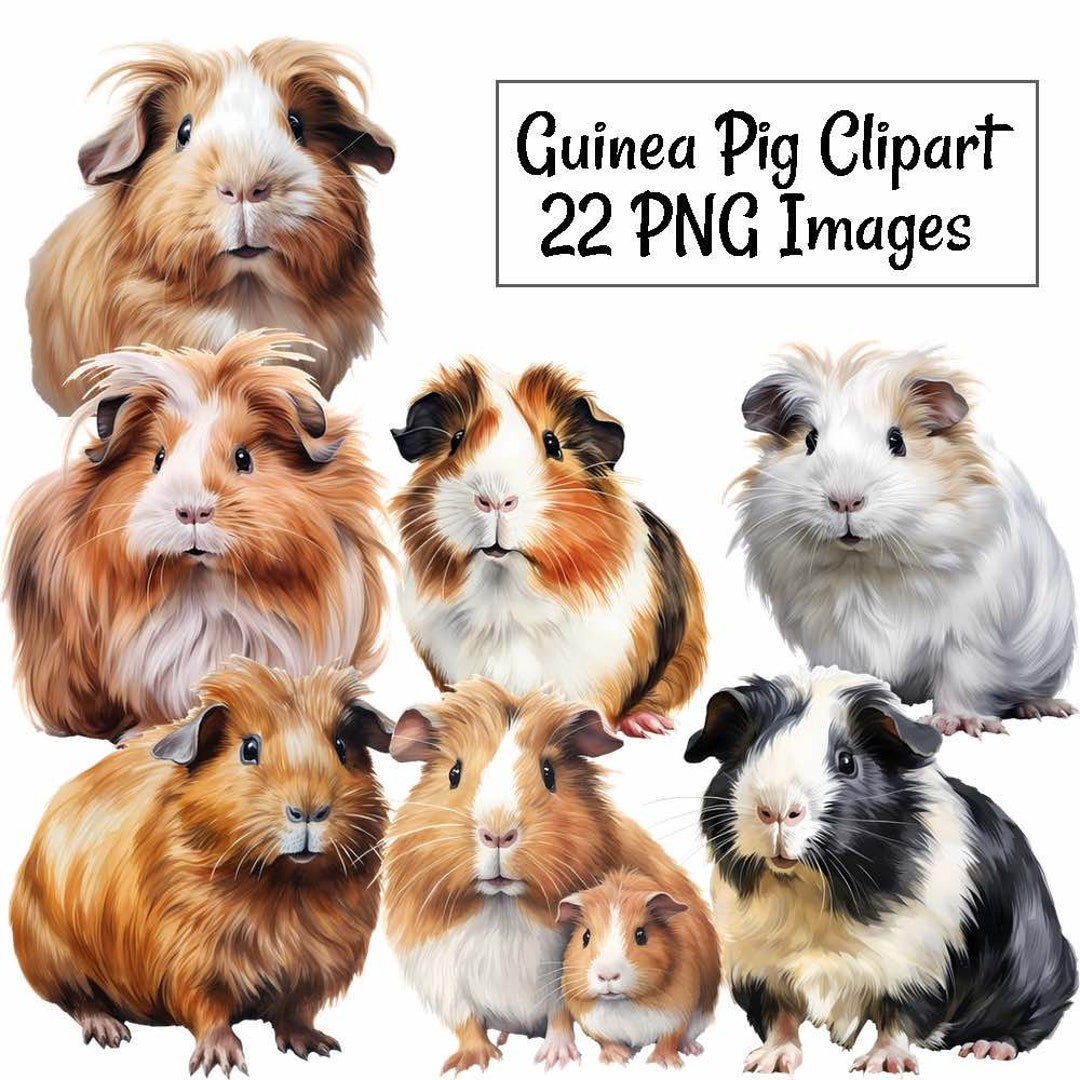 Guinea Pig Clipart Watercolor Digital Downloads, 22 Pet Rodent Animal ...