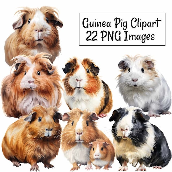 Guinea Pig Art - Etsy
