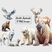 Arctic Animals North Pole Wildlife Watercolor Clipart Digital Downloads ...