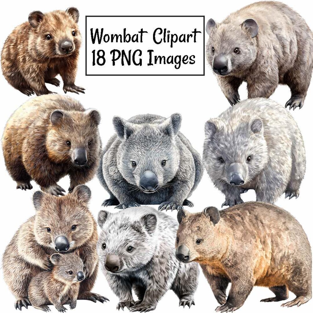 Wombat Clipart ,18 Watercolor Wildlife Animal Printable Digital ...