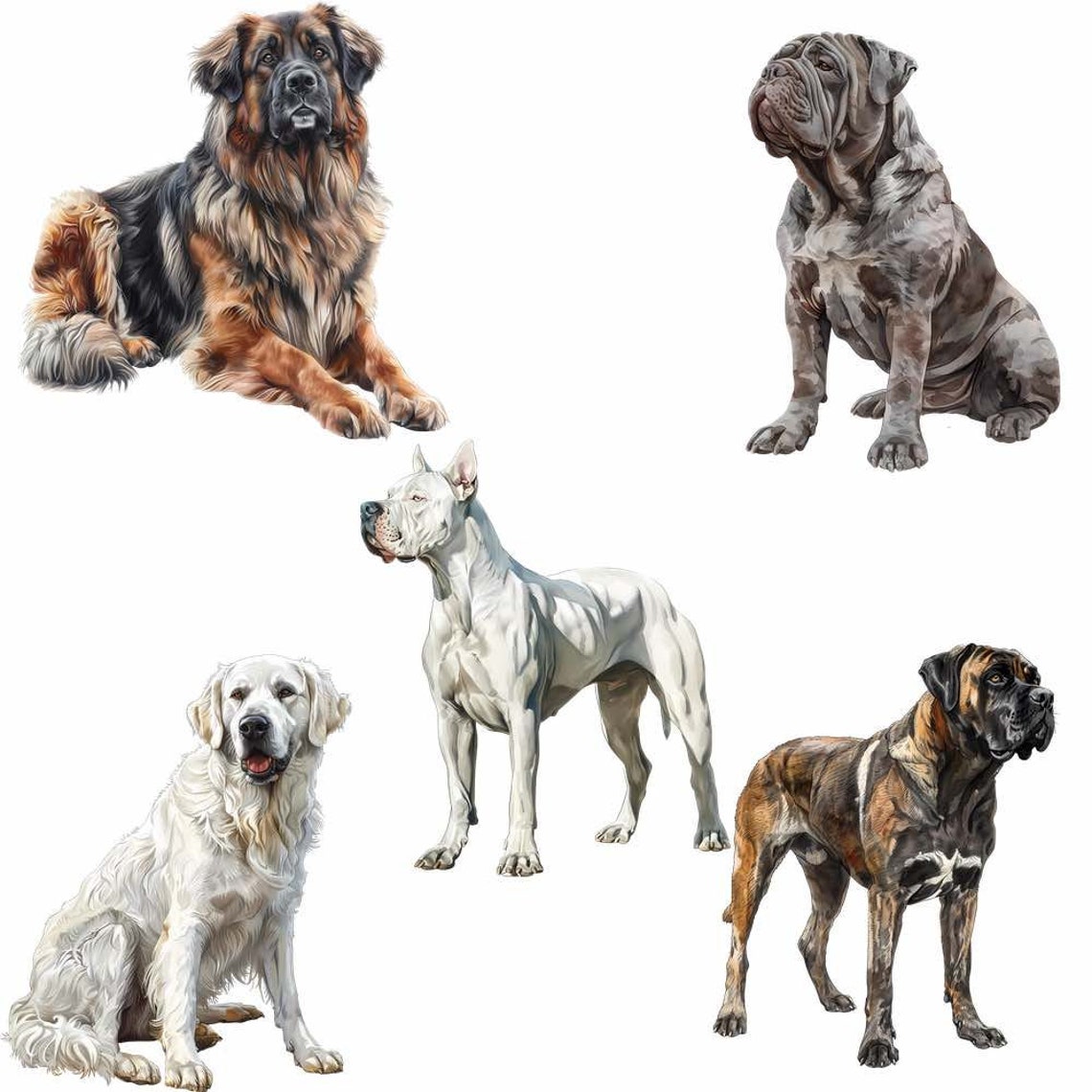 Working Dogs Watercolor Clipart Digital Downloads Dog Breed Animal AKC ...