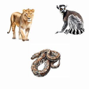 African Animals Clipart Digital Downloads Wildlife Watercolor Safari ...