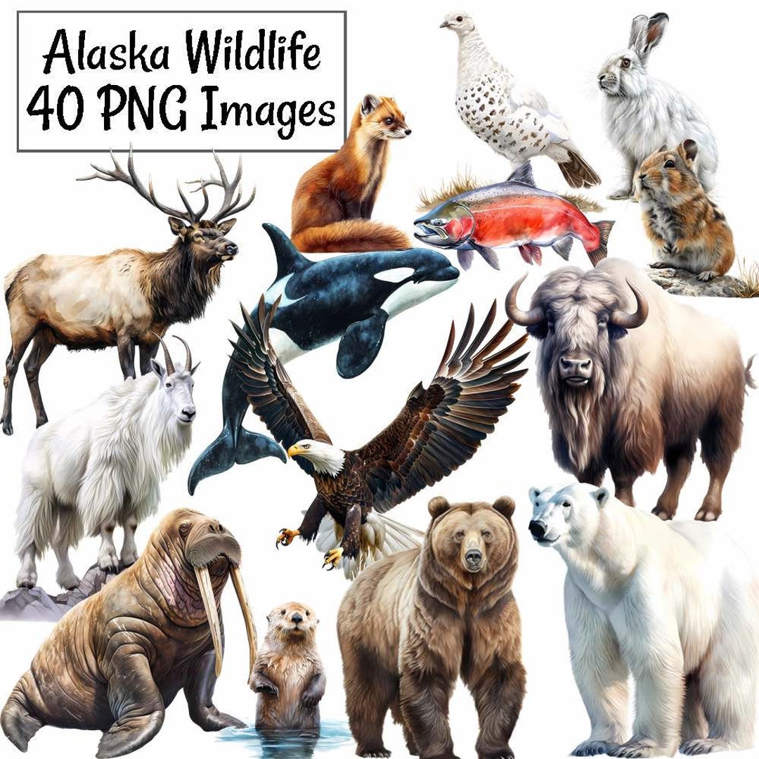 Alaska Wildlife Clipart Watercolor Digital Downloads Woodland North ...