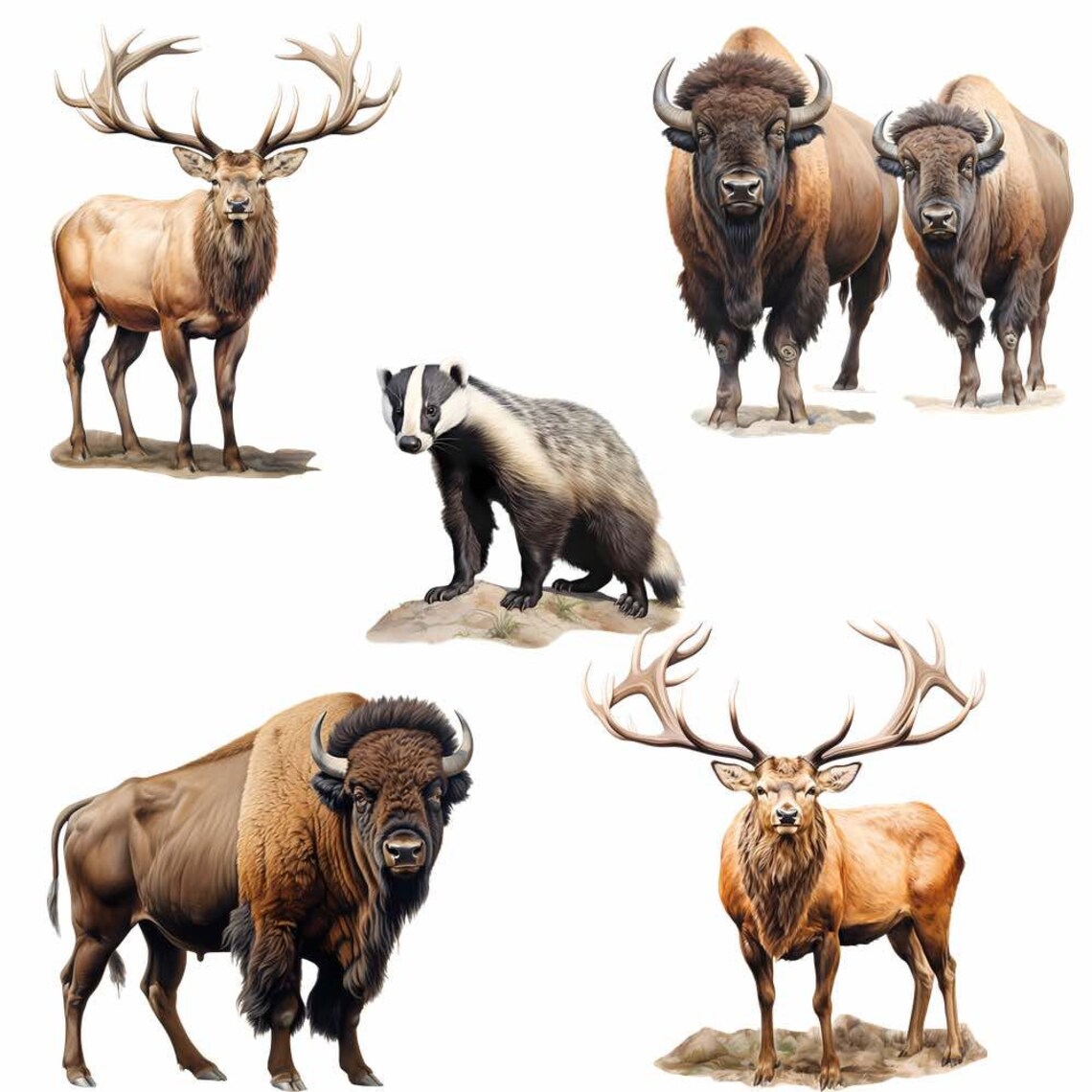 Ice Age Clipart Watercolor Digital Downloads Glacial Extinct Animal ...