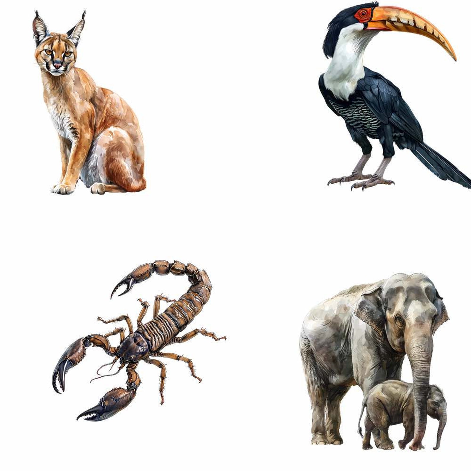 Asian Animals Wildlife Watercolor Clipart Digital Downloads, 32 Fauna ...