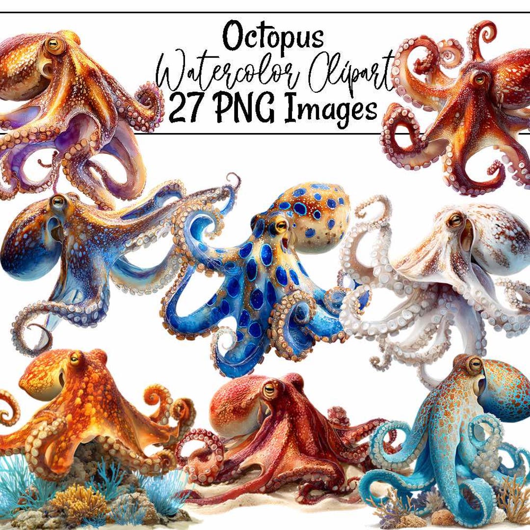Octopus Watercolor Clipart Sea Life Illustrations Ocean Animal Art Sea ...