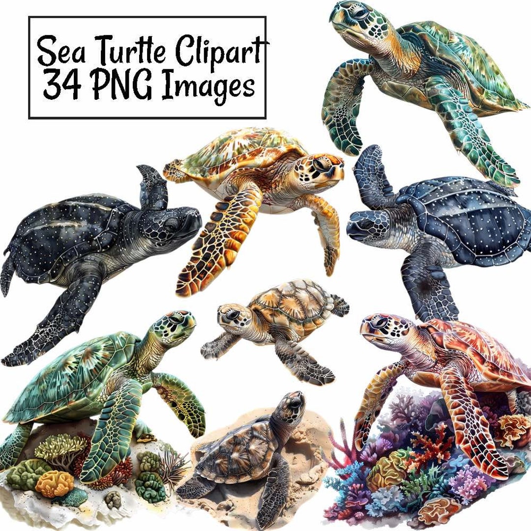 Sea Turtle Clipart Digital Download Turtle Watercolor Ocean Marine Life ...