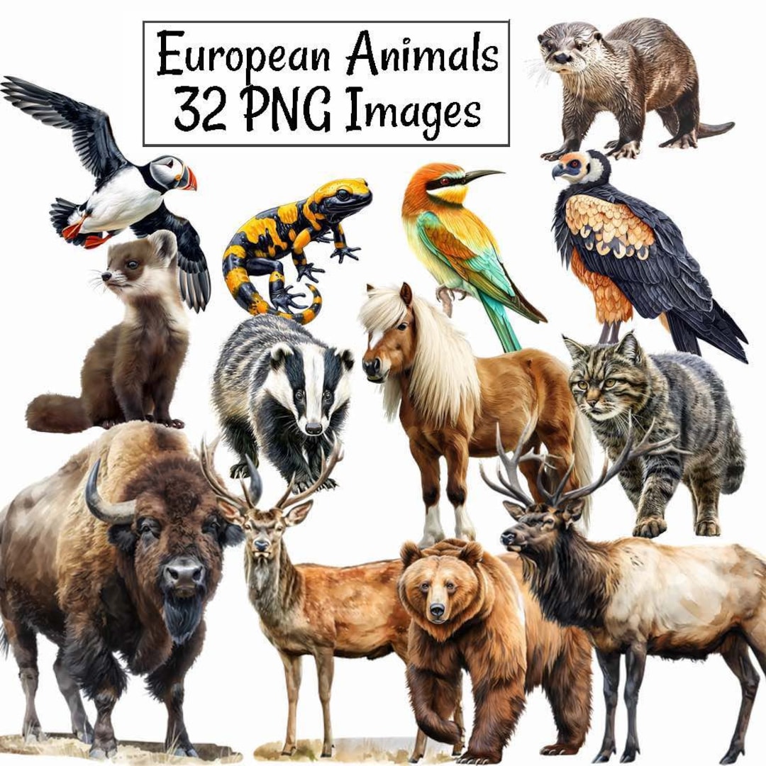European Animal Clipart, 32 Europe Wildlife Watercolor Digital ...