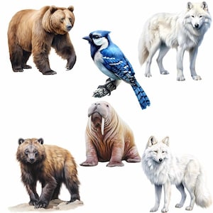 Canada Animals Clipart Forest Wildlife Art Watercolor Digital Downloads ...