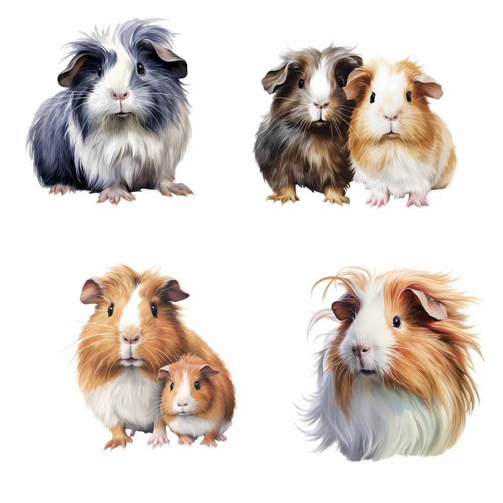 Guinea Pig Clipart Watercolor Digital Downloads Pet Rodent Animal High ...