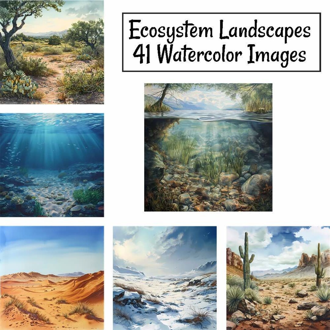 Ecosystem Landscape Watercolor Bundle Digital Downloads, 41 Habitat ...
