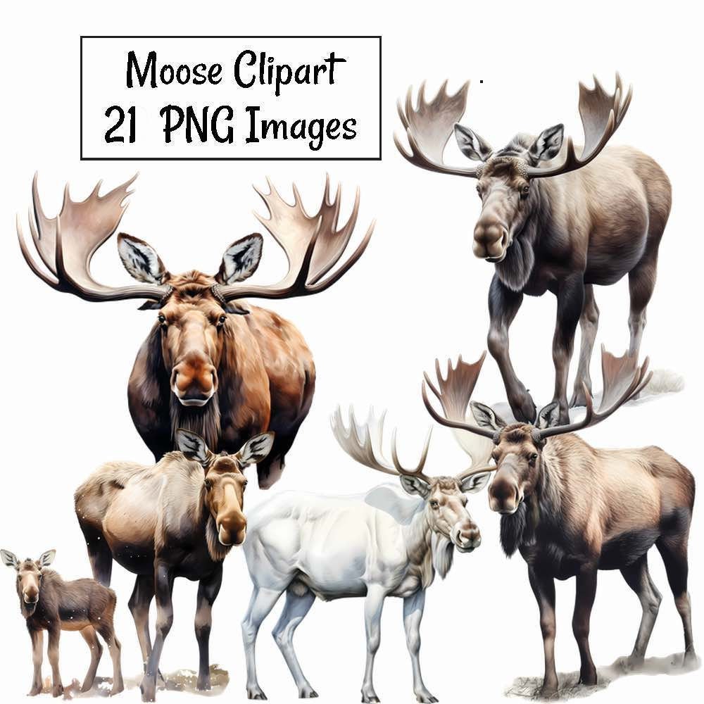 Moose Clipart, Watercolor Digital Downloads Clipart, 10 Wildlife ...