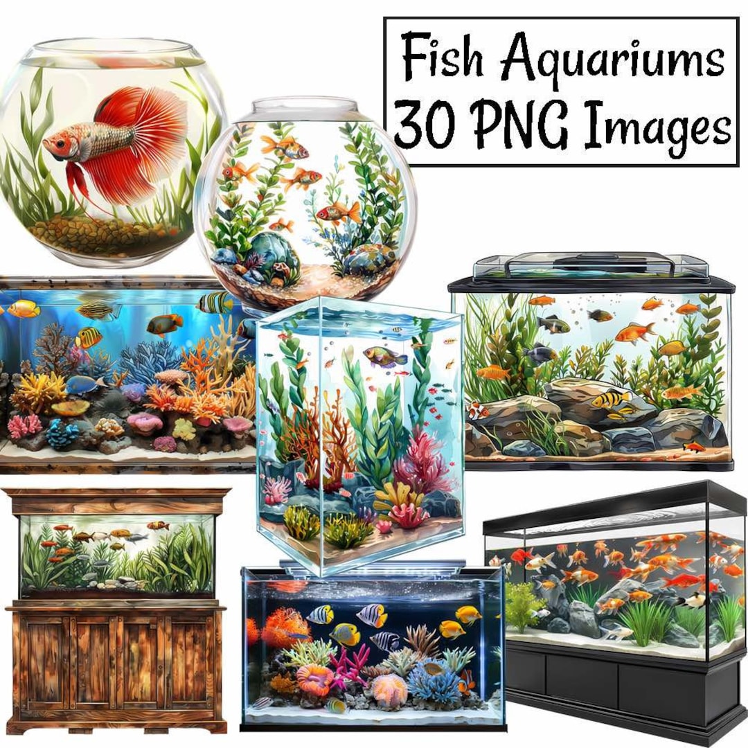 Aquarium Fish Tank Clipart, 30 Fish Bowl Goldfish Beta Pet Watercolor ...