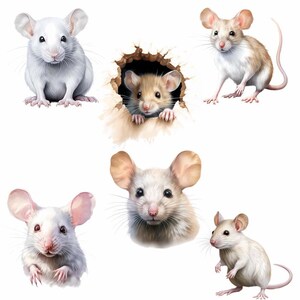 Mouse Clipart Watercolor Digital Downloads, 33 Mice Cute Field Wild ...