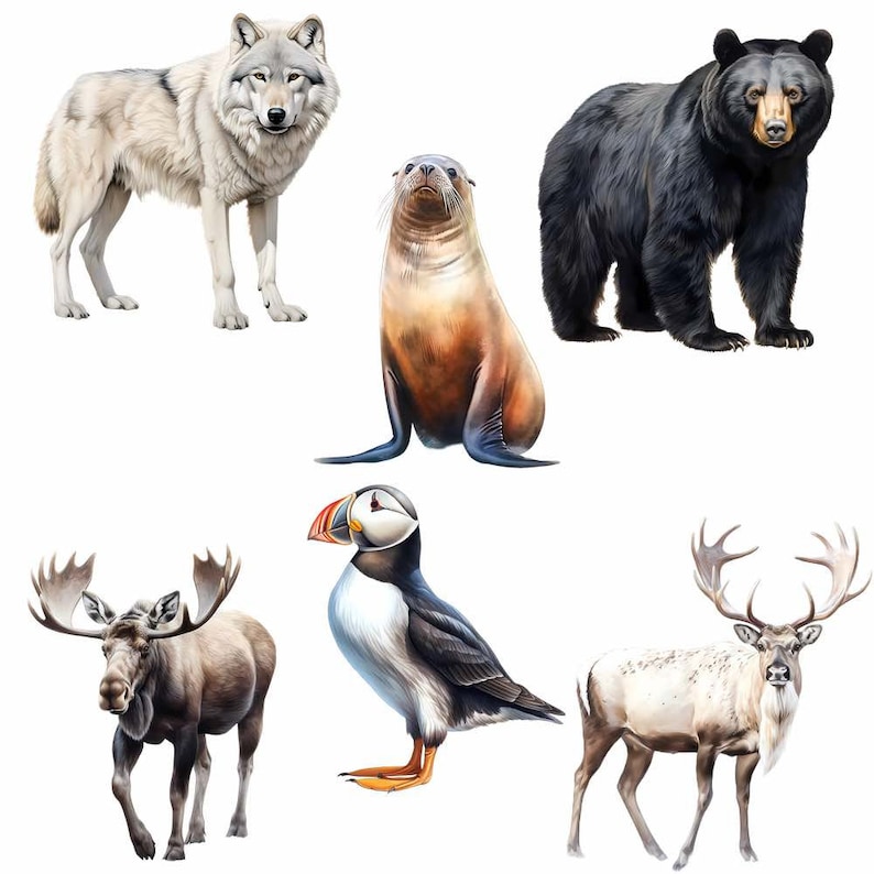 Alaska Wildlife Clipart Watercolor Digital Downloads Woodland North ...