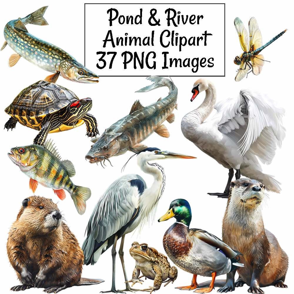 Pond & River Animals Clipart Digital Downloads Animal Lake Wildlife ...