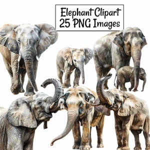 Elephant Watercolor Clipart Digital Downloads African Animal Safari ...