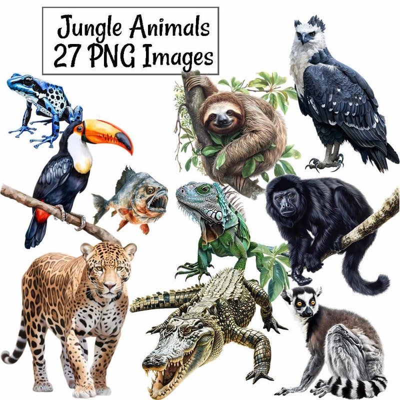 Rainforest Wall Poster - Etsy UK
