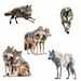 Wolf Overlay Wolves Realistic Digital Downloads, 28 Wolf Clipart , High ...
