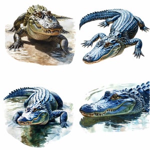 Alligator Watercolor Clipart Digital Downloads Reptile Crocodile Animal ...