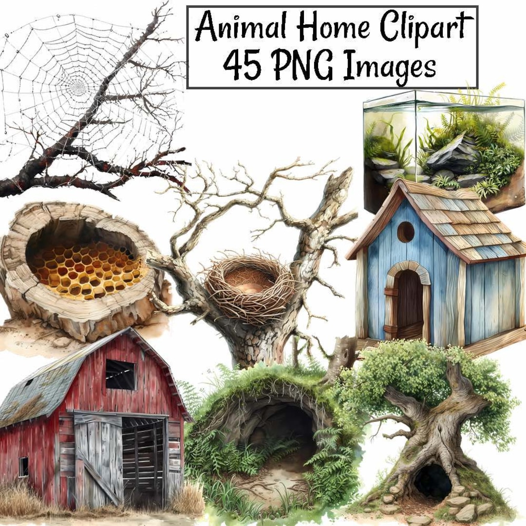 Animal Homes Bundle Clipart Digital Downloads, 45 Habitat School ...