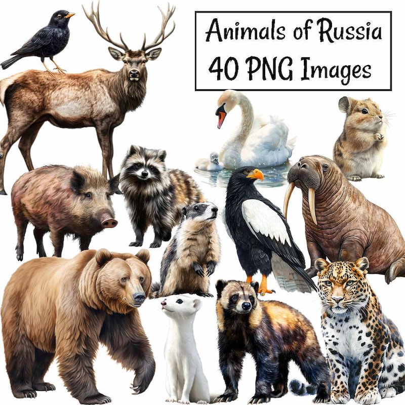 Russian Bear - Etsy