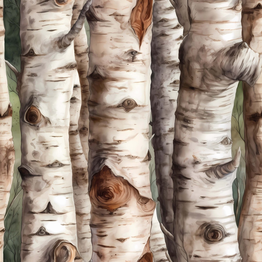 Watercolor Birch White Trees Seamless Digital Papers, 2 Designs, Nature ...