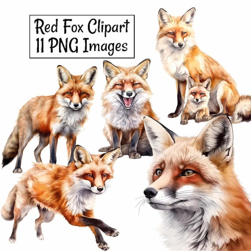 Red Fox Watercolor - Etsy