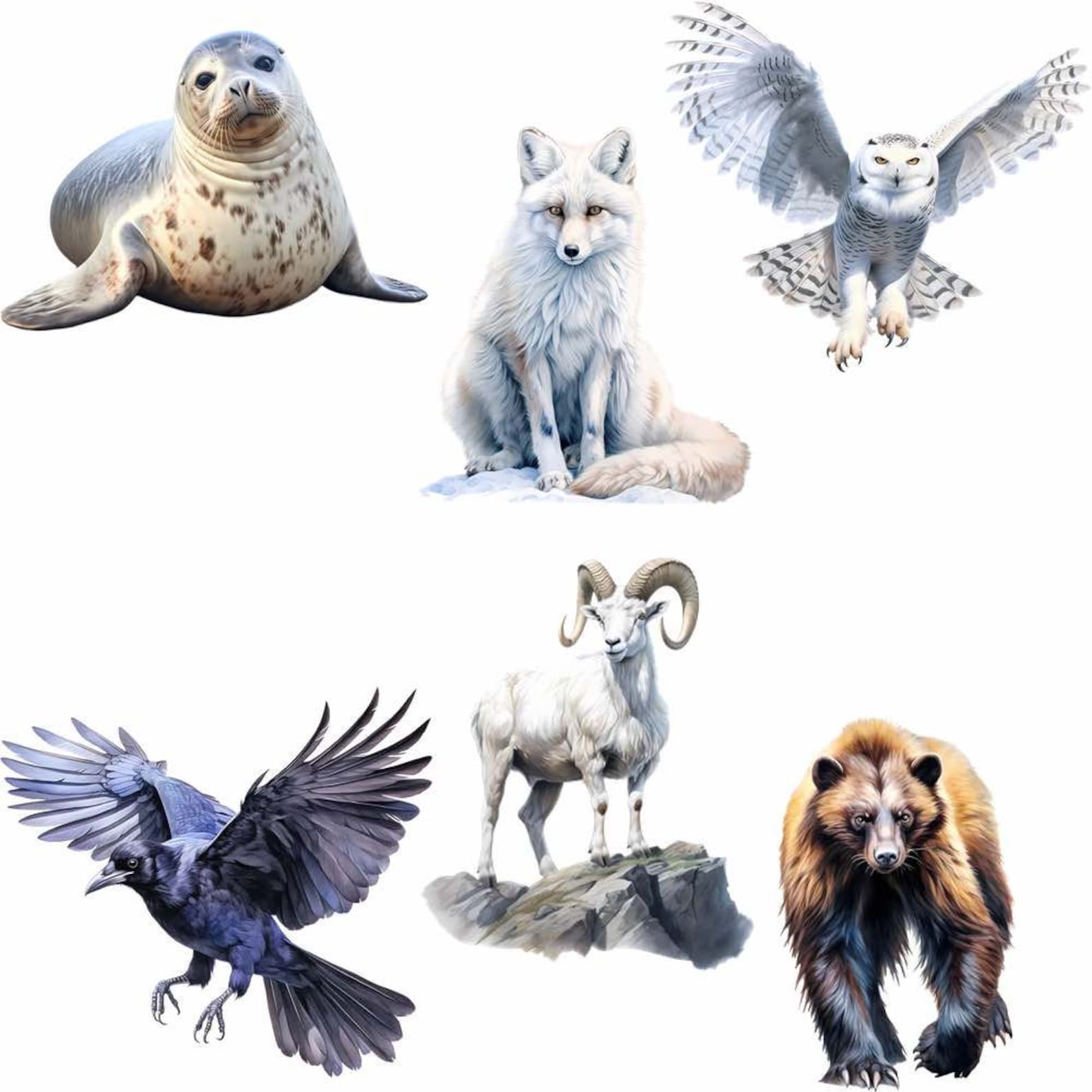 Alaska Wildlife Clipart Watercolor Digital Downloads Woodland North ...