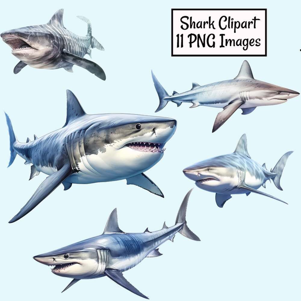 Shark Sea Life Ocean Watercolor Clipart Transparent Background Digital ...