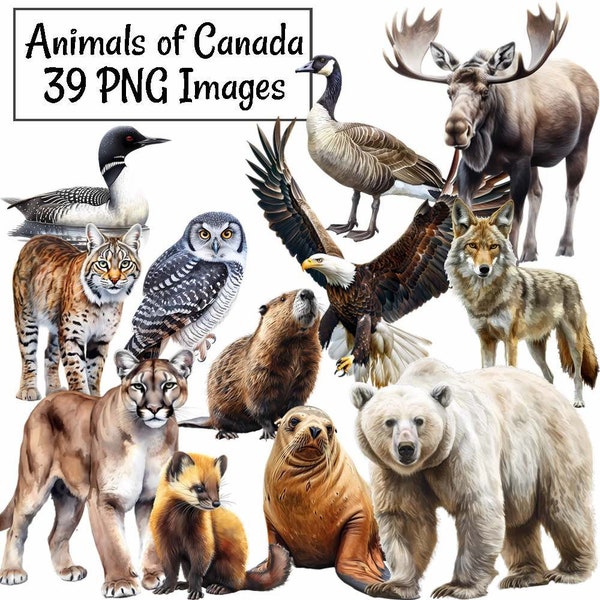 Canadian Wildlife - Etsy